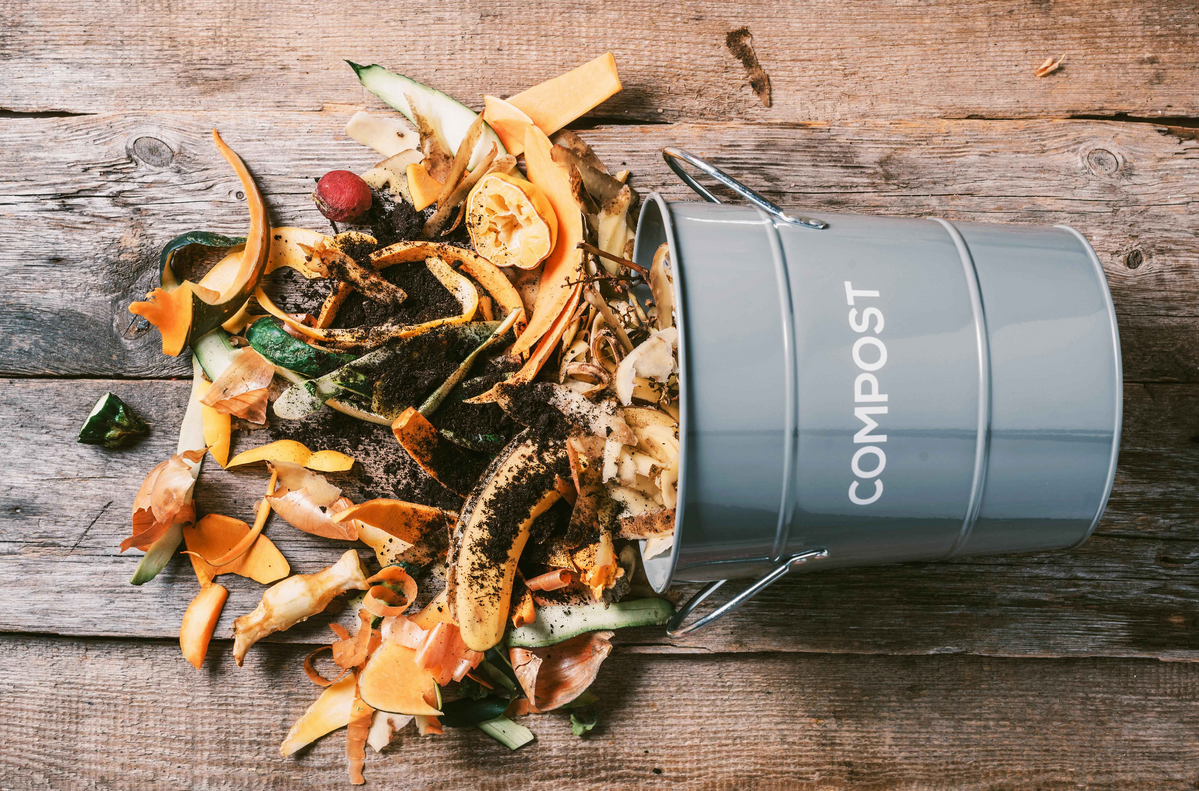It's Compost Day!– Delphis Eco UK